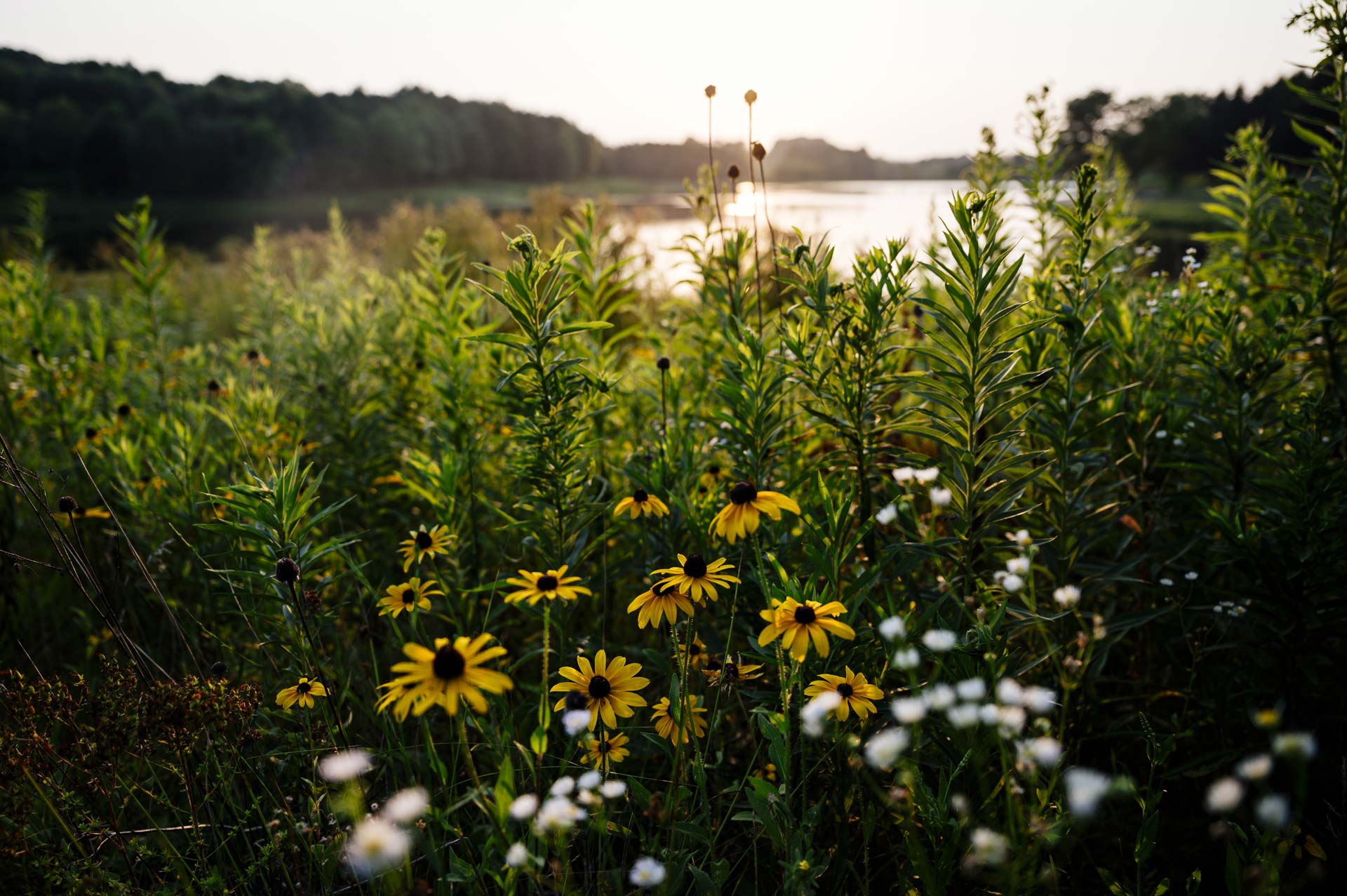 Superior Fresh - Seafood MAP